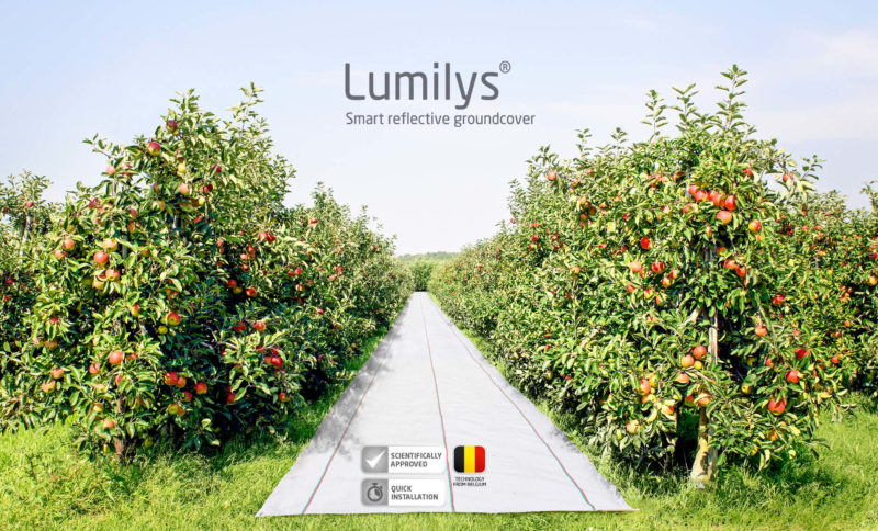 Lumilys Reflective Ground Cover Fabric - US Ground Cover