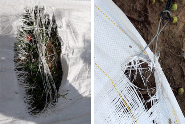 Lumilys Reflective Ground Cover Fabric - US Ground Cover